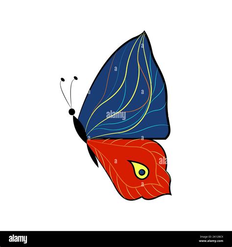 Butterfly Exotic Winged Insect Vector Illustration Colored Butterfly