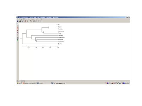Phylogenetics With Mega Ppt