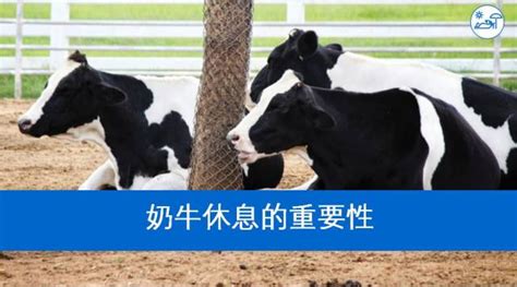 躺着玩牛子还是站着牛子被哪玩b大大山谷图库