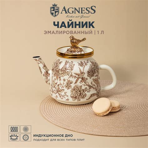Чайник эмалированный 1 л Agness для всех видов плит купить на Ozon по низкой цене 828915286