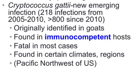 FUNGAL AND PARASITIC CNS INFECTIONS Flashcards Quizlet