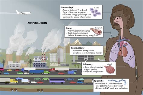 Air Pollution Effects