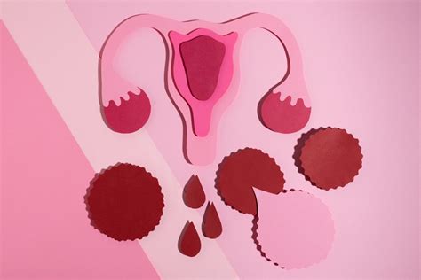 Understanding Vulvar Varicosities Causes Symptoms And Treatment