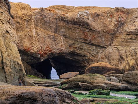 Faraway Not So Friday Oregon Coast Sequim Daily Photo