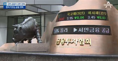 전문투자자 늘려 벤처 살린다금융 개혁 방안