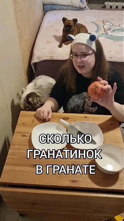 Сколько гранатинок в гранате? - YouTube