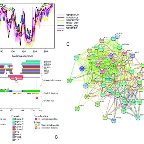 Multiparametric Analysis Of Functional Intrinsic Disorder And Download Scientific Diagram