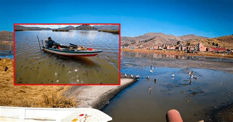 Lago Titicaca de qué trata el proyecto para descontaminar sus aguas