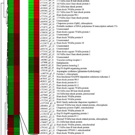 Differential Expression Gene Analysis Heatmap Showing The Expression Download Scientific