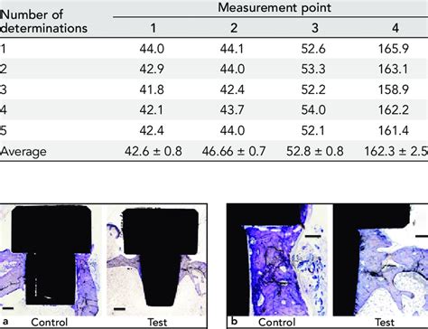 Magnetic Flux Of Each Measurement Point In MT Download Scientific Diagram