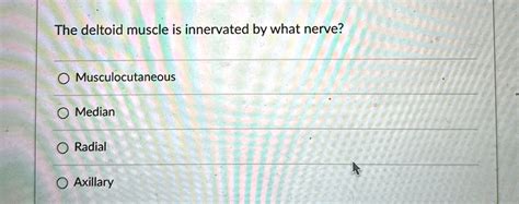 The Deltoid Muscle Is Innervated By What Nerve Musculocutaneous Median