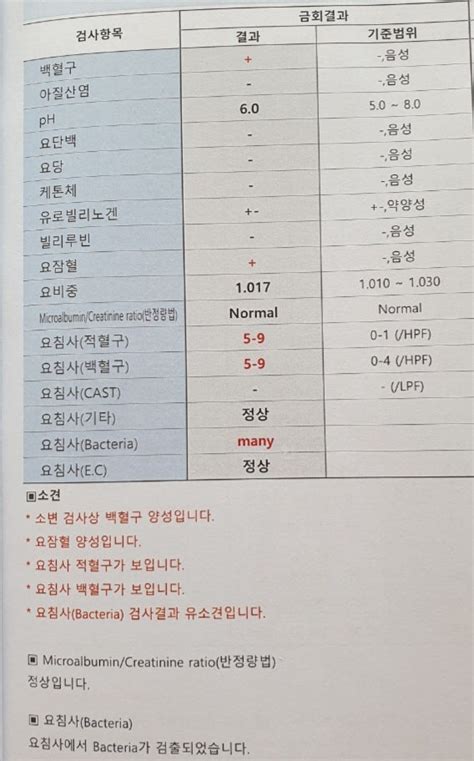 소변검사 요잠혈 적혈구 백혈구 박테리아 양성 지식in