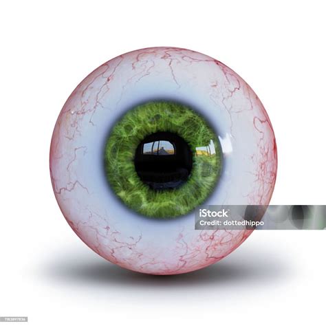 Realistische Menschliche Augapfel Mit Grüner Iris Isoliert Mit Schatten Auf Weißem Hintergrund