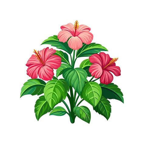 Premium Vector Hibiscus Flower Vector Illustration