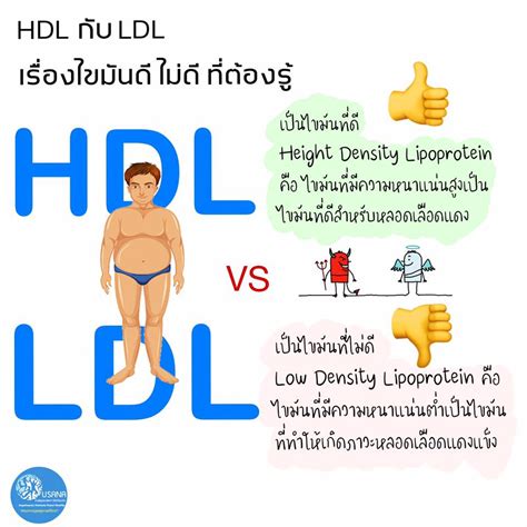 Hdl กับ Ldl เรื่องไขมันดี ไม่ดี ที่ต้องรู้ Hdl คือ ไขมันที่มีความหนา