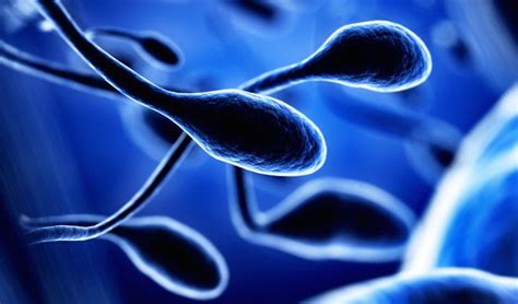 Failed Ivf Cycle Repeated Miscarriage Why A Sperm Dna Fragmentation Test Could Help