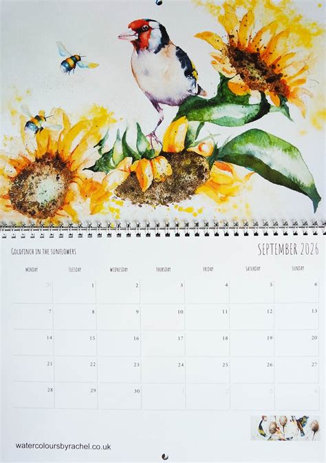 2026 Art Calendar Half Price Watercolours By Rachel