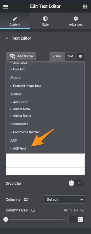 Useful ACF Basics With Your Page Builder Almost Inevitable Tutorials