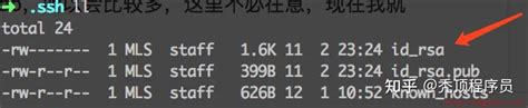 Git通过 SSH 连接代码托管服务器github gitee 内部私服 gitlab 知乎