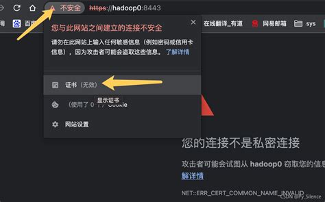 ssl sslhandshakeexception received fatal alert certificate