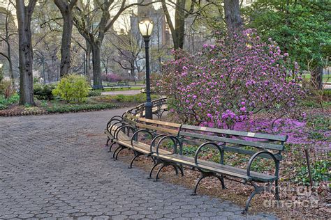 Seats Available Photograph By Ryan Brook Fine Art America