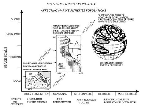 Scales Of Physical Variability Affecting Marine Resources Variability Download Scientific