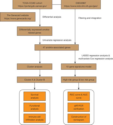 Figure 1 From Construction Of A Gene Signature Associated With Anoikis
