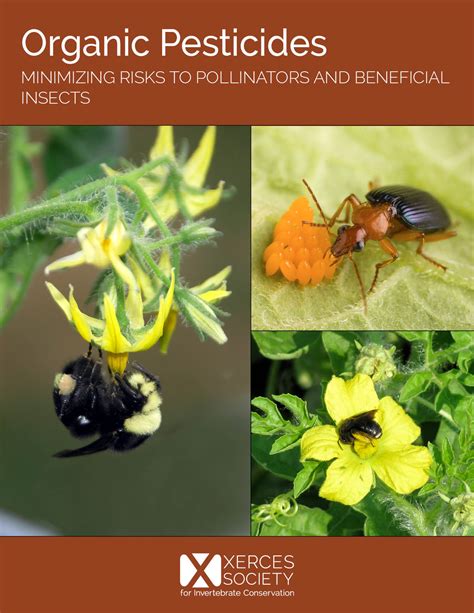 Beneficial Insects Xerces Society