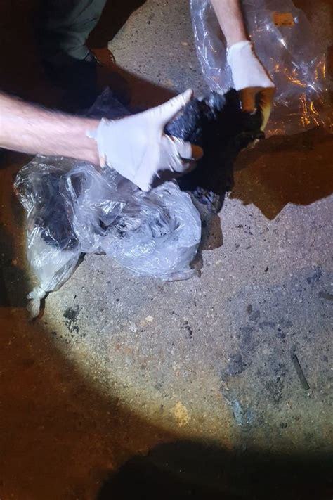 Assassino Escolheu Matar E Beber Sangue De Homem Com 33 Anos A Idade