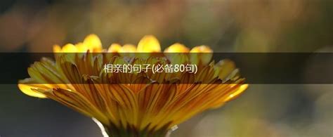相亲的句子 必备80句