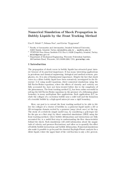Pdf Numerical Simulation Of Shock Propagation In Bubbly Liquids By