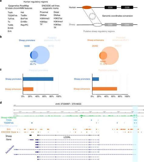 Sheep Chip Seq Lifeasible