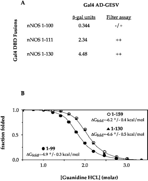 The Canonical Nnos Pdz Domain Is Sufficient To Interact With