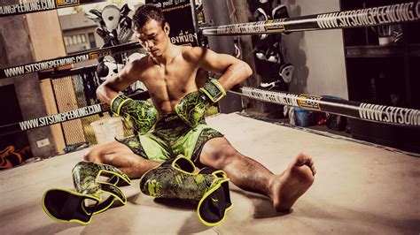 Best Muay Thai Shin Guards For MMA Revolution