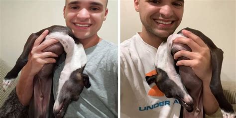 Hasan Author At Hasan Jasim