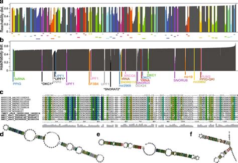 dotaligner identification and clustering of rna structure motifs