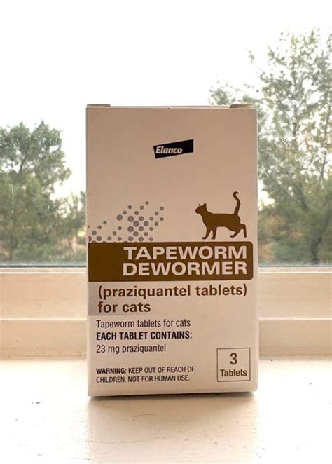 5 Best Cat Dewormers In 2026 In 2026