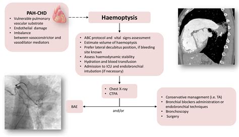 Hemoptysis Causes