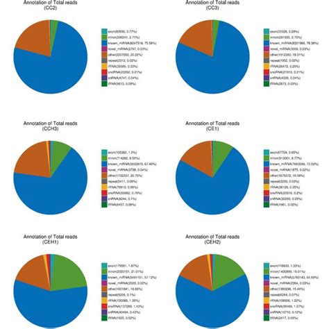 The Correlation Analysis Between Samples In Different Groups Pearson