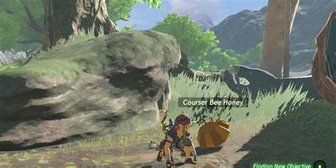 10 Weird Arrow Fuse Combos We Want In Zelda Tears Of The Kingdom
