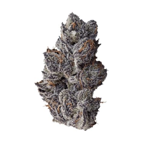 White Truffle Beleaf Cut Cannabis Clones