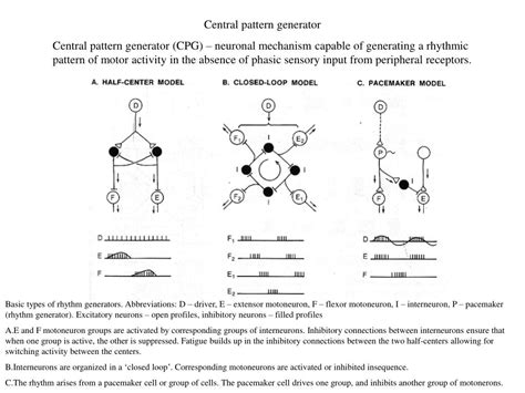 Ppt Movement Powerpoint Presentation Free Download Id6092743