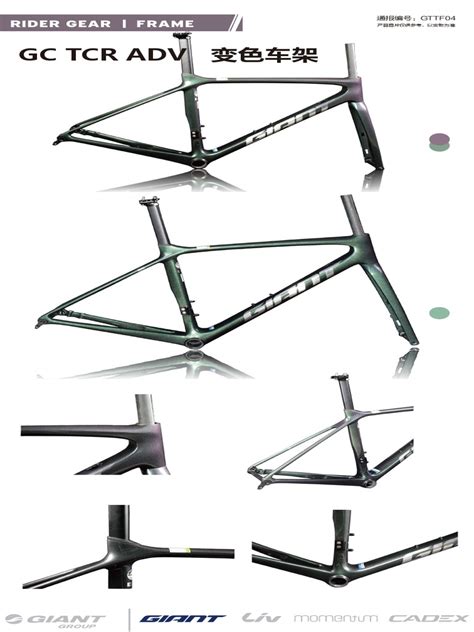 Tcr Adv 变色车架 碟刹 N Pdf