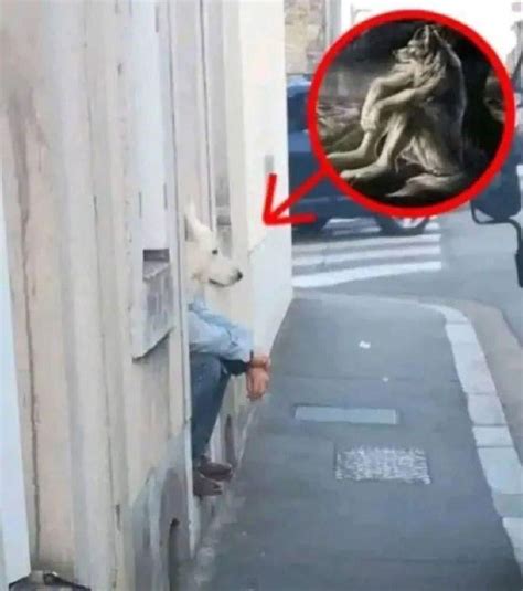 Actually Me Im Skipping Job Rmoldymemes