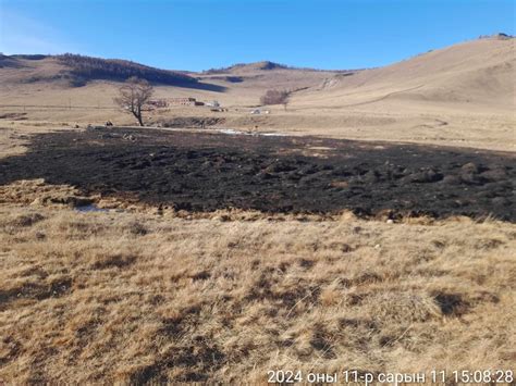 Богд уулын дархан цаазат газарт гал алдсан байсныг унтраажээ