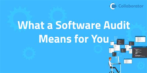 Auditing Software