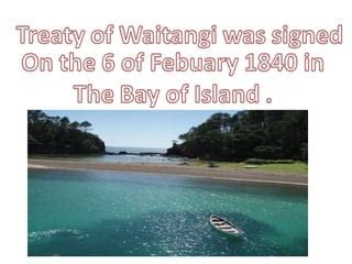 Treaty Of Waitangi Slideshow PPT