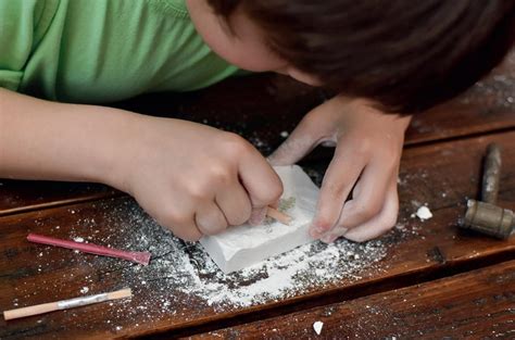 Práticas Pedagógicas Na Educação Infantil By Fundação Maria Cecilia