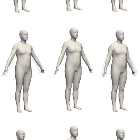 Example Of Workflow Of Posture Normalization Note That The Arms Are