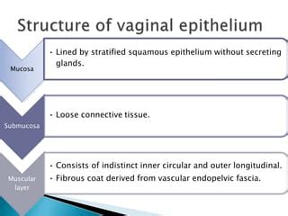 Vagina And Its Diseases PPT